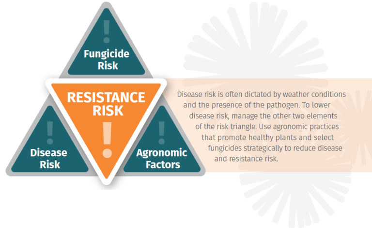 How to manage fungicide resistance in your crops - Manage Resistance Now