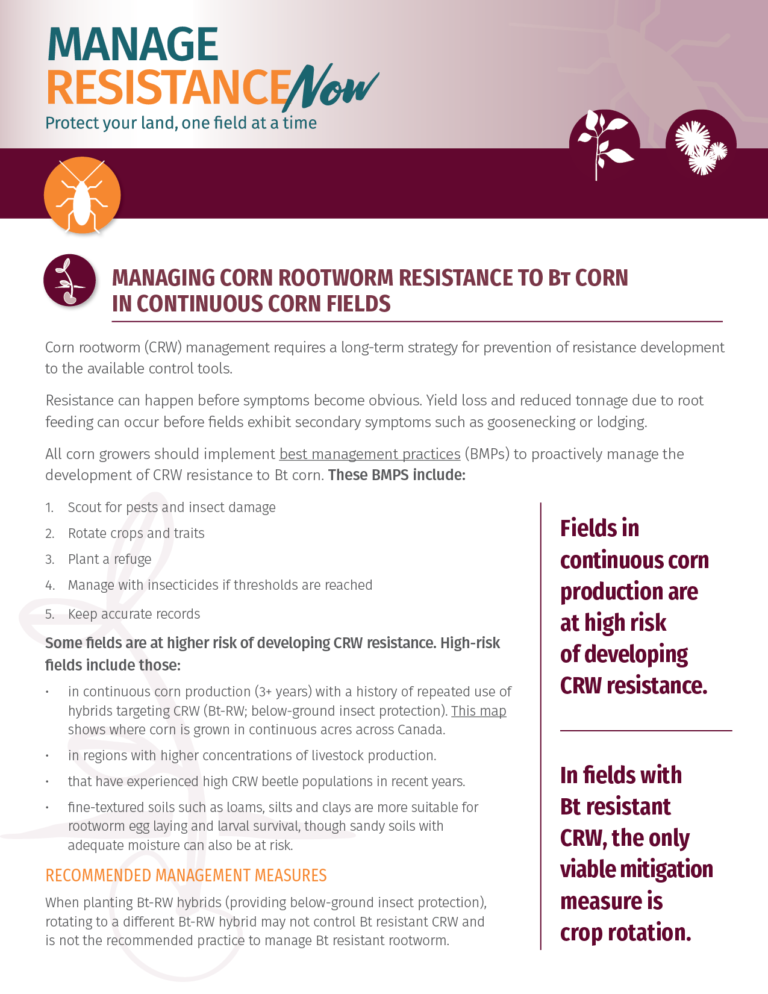 Insects BT Corn - Manage Resistance Now